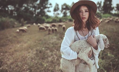 3 Stunning Sheep Fields in Vietnam - Mytour