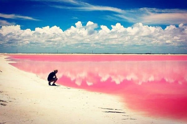 Explore the Enchanting Pink Beach in Mexico - Mytour