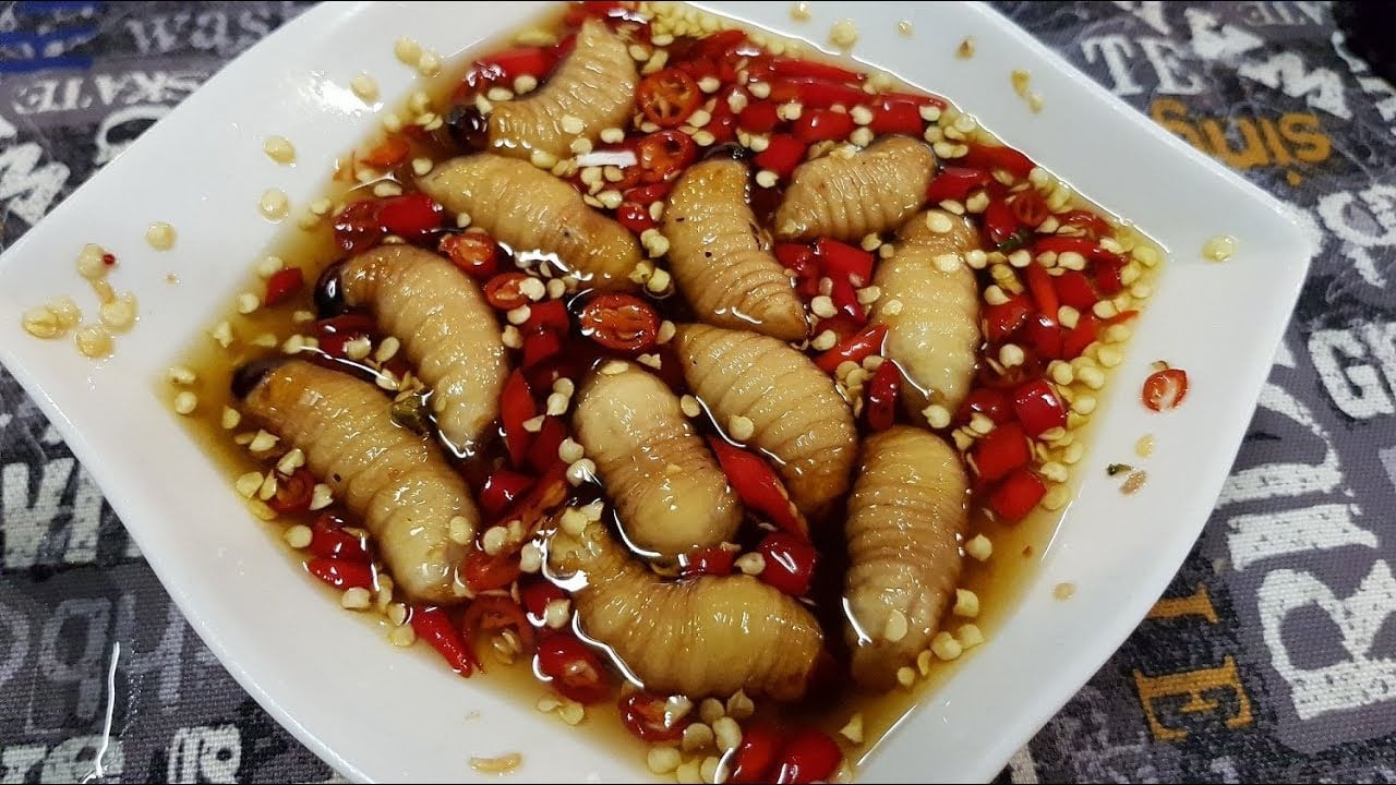 Top 8 irresistible coconut worm dishes in the West - Mytour
