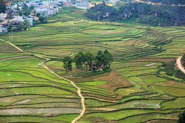 Mytour - Best Spot for Scenic Views of Dong Van Stone Plateau