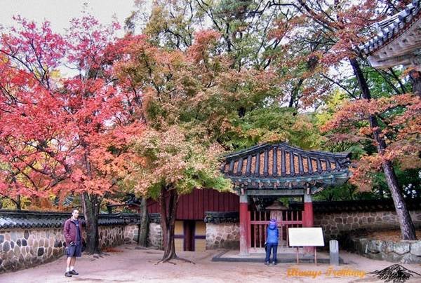 Top 10 captivating highlights of exploring South Korea Top 10 captivating highlights of exploring South Korea