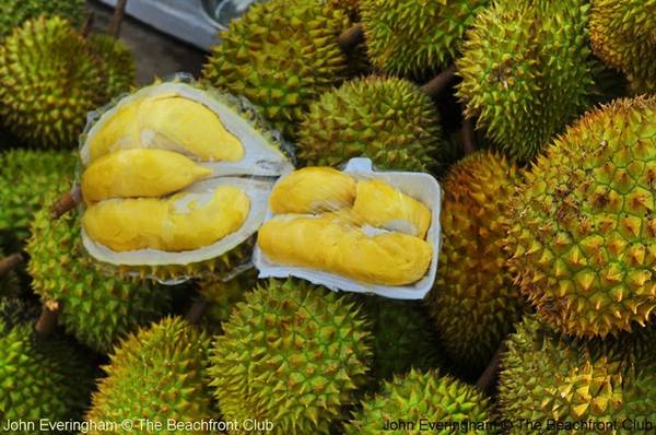 Vietnam's pungent delicacies