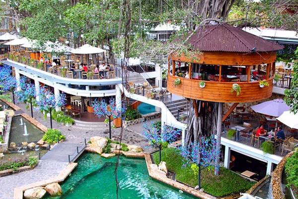 The Most Unique Tree-Top Café in Saigon