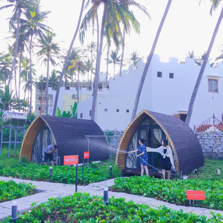 Top 10 Breathtaking Beachfront Homestays in Phan Thiet for an ...
