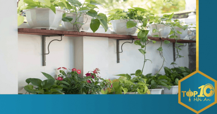 A Casual Review of Miss Ten Homestay in Hoi An - Mytour