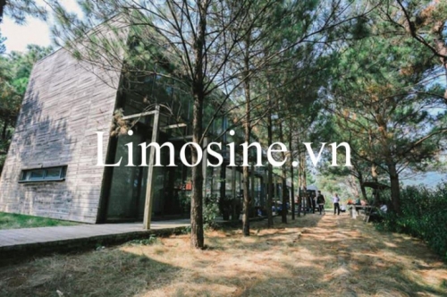 21 Affordable and Beautiful Villas in Soc Son – Dong Do Lake with ...