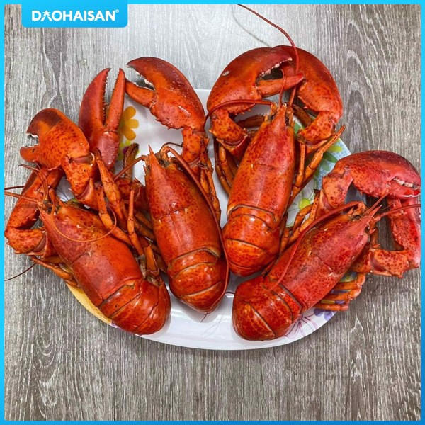 Refreshing Alaska Lobster Salad for Summer Days - Mytour
