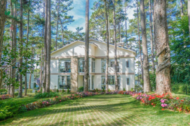 Discover 7 stunning pine forest view resorts in Da Lat - Mytour