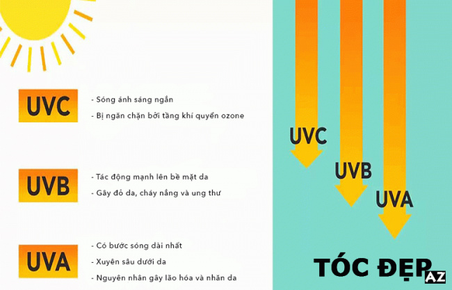 Understanding UV Rays: Exploring the Impact on Facial Skin - Mytour