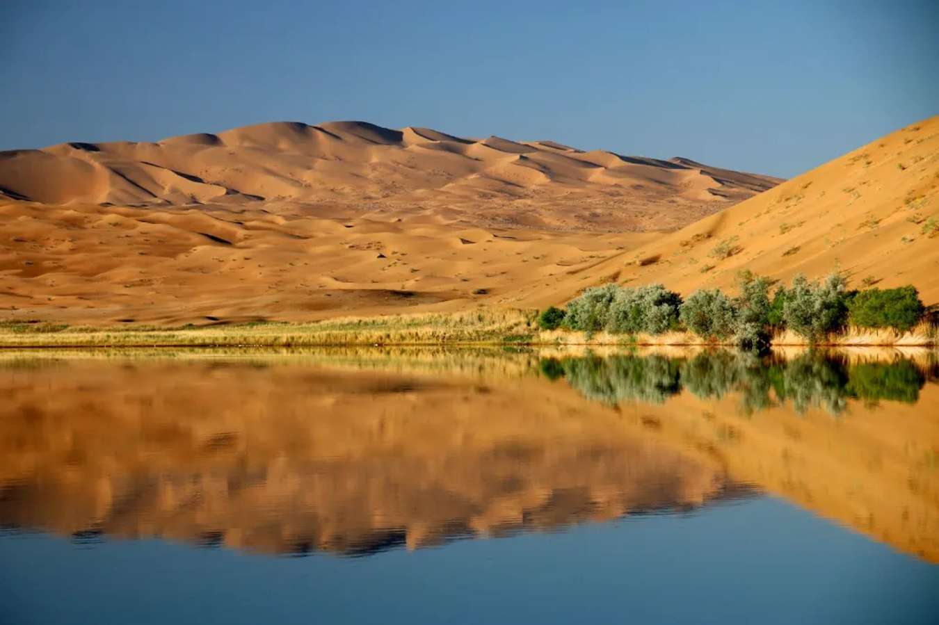 Gobi Desert: Exploring the Wild Nature and Mongolian Culture