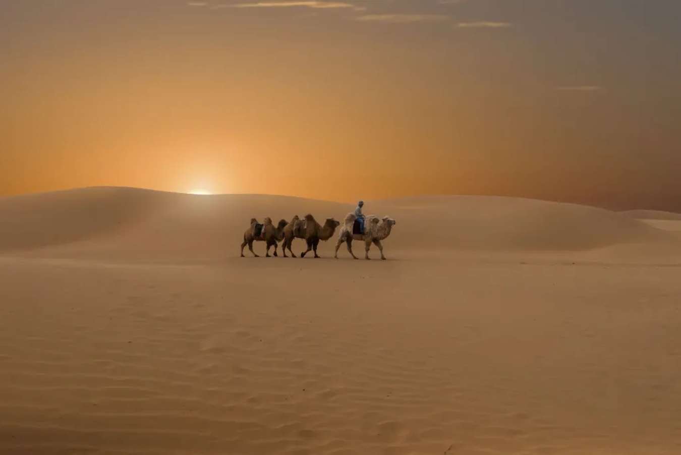 Gobi Desert: Exploring the Wild Nature and Mongolian Culture
