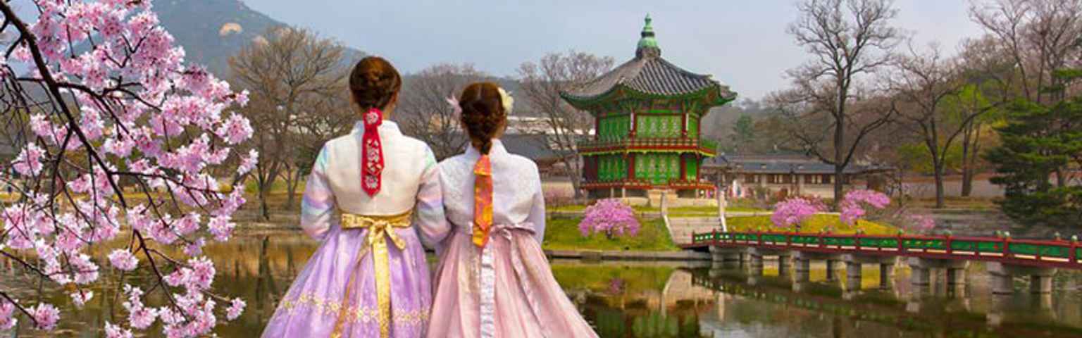 Best Seasons to Explore the Beauty of South Korea