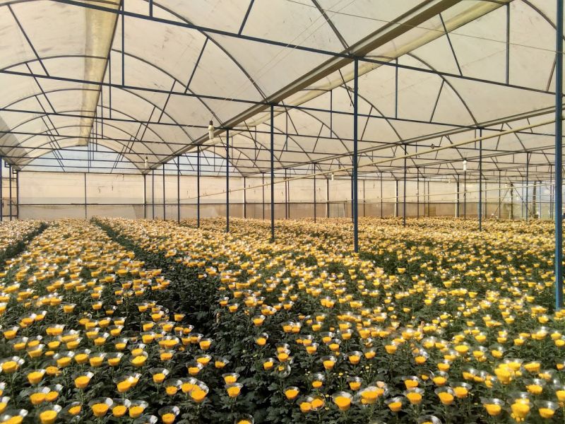 Top 5 Beautiful European-Style Farms with Free Entry and Delicious Food ...