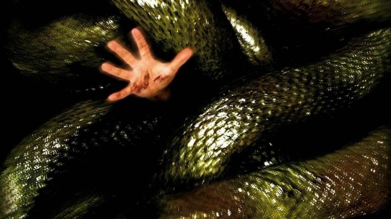 Top 10 Best Snake Movies You Should Watch - Mytour.vn