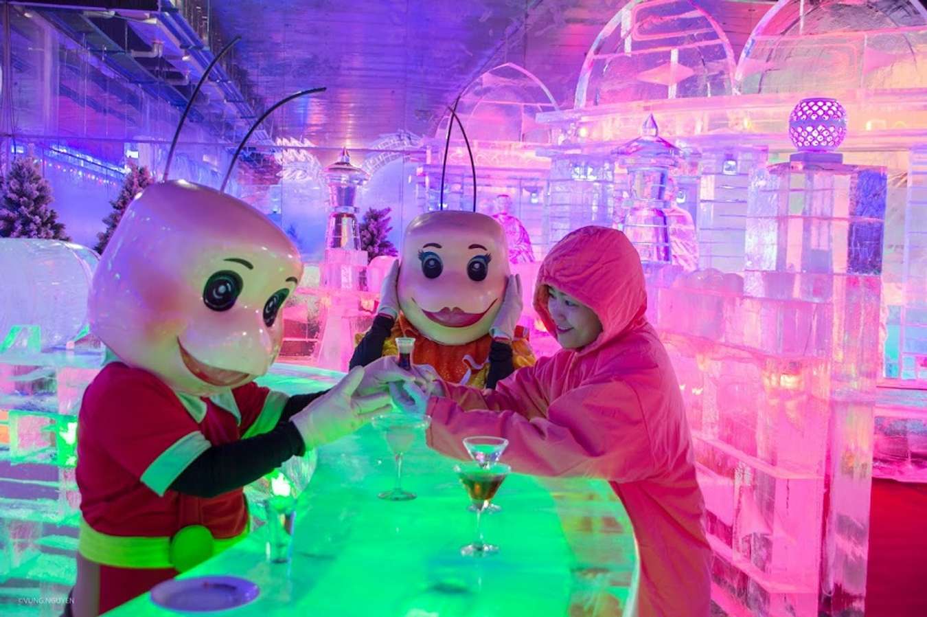 Experience the Delight of Đầm Sen Khô - A Verdant Oasis in the Heart of ...