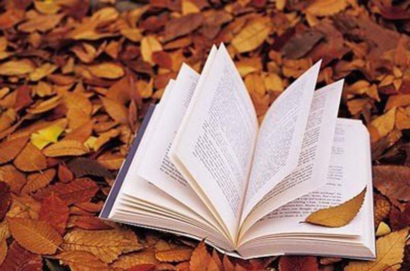 Top 10 Outstanding Works by Author Đinh Mặc - Mytour.vn