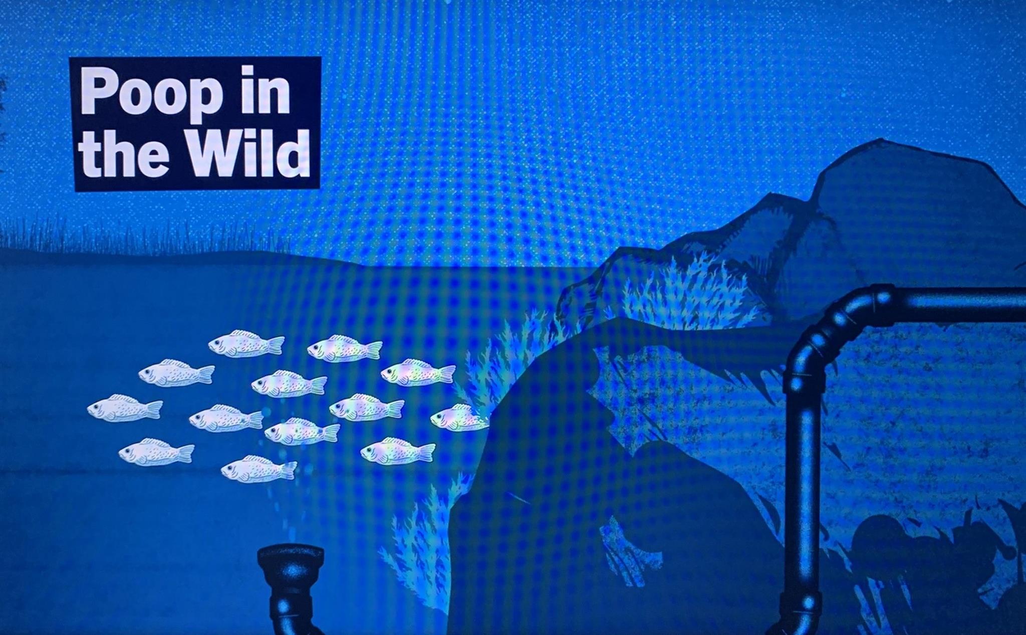 Hành trình của MÙI CỨT