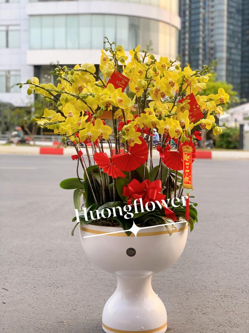 Discover the Top 11 Most Beautiful Orchid Shops in Ho Chi Minh City ...