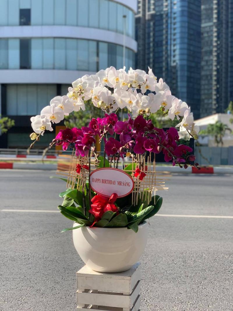 Discover the Top 11 Most Beautiful Orchid Shops in Ho Chi Minh City ...