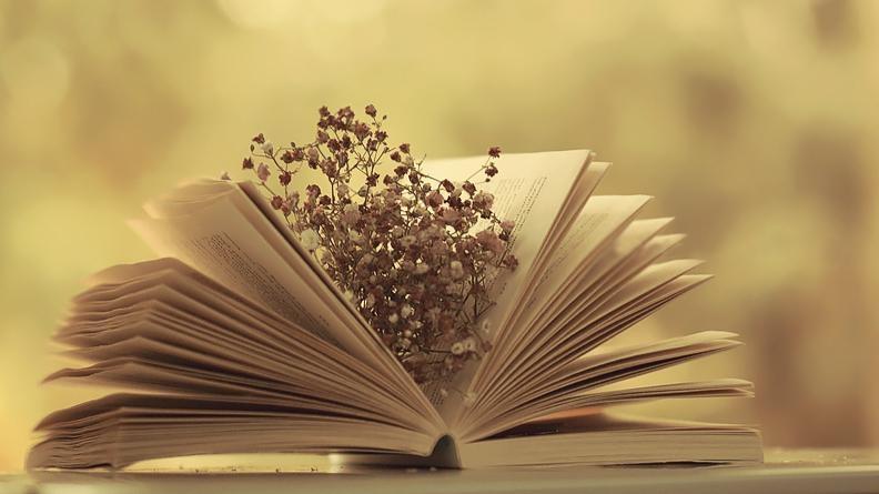 Top 18 Most Famous Literary Works Around the World You Can't Miss ...