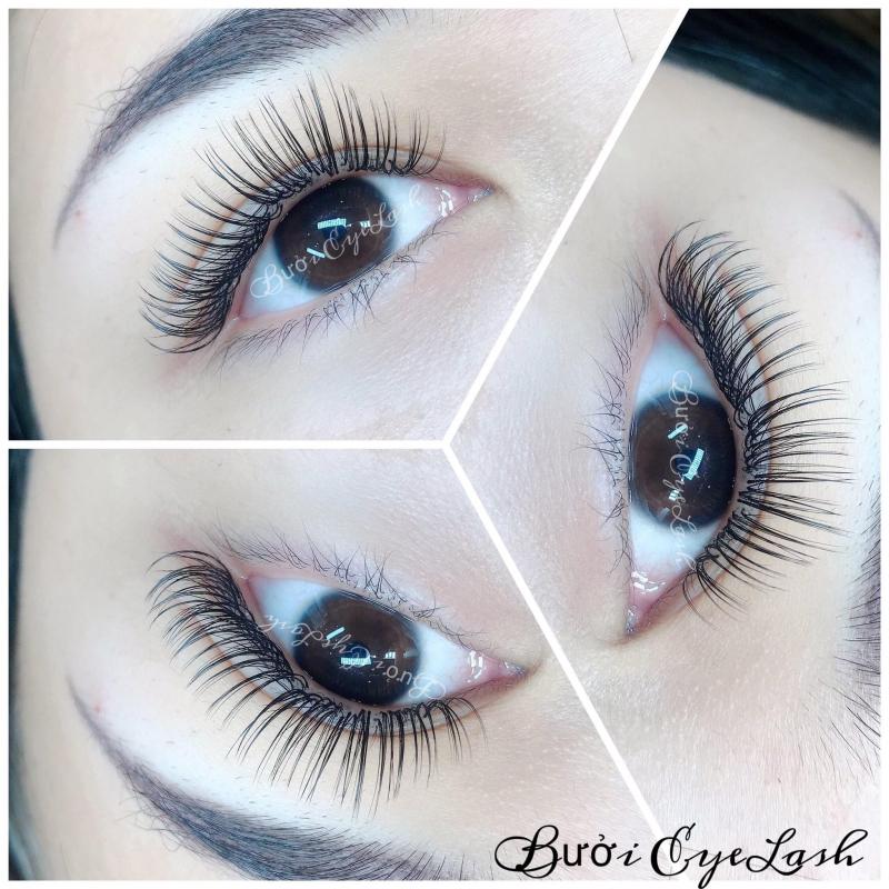 Discover the top 5 most stunning and high-quality eyelash extension ...