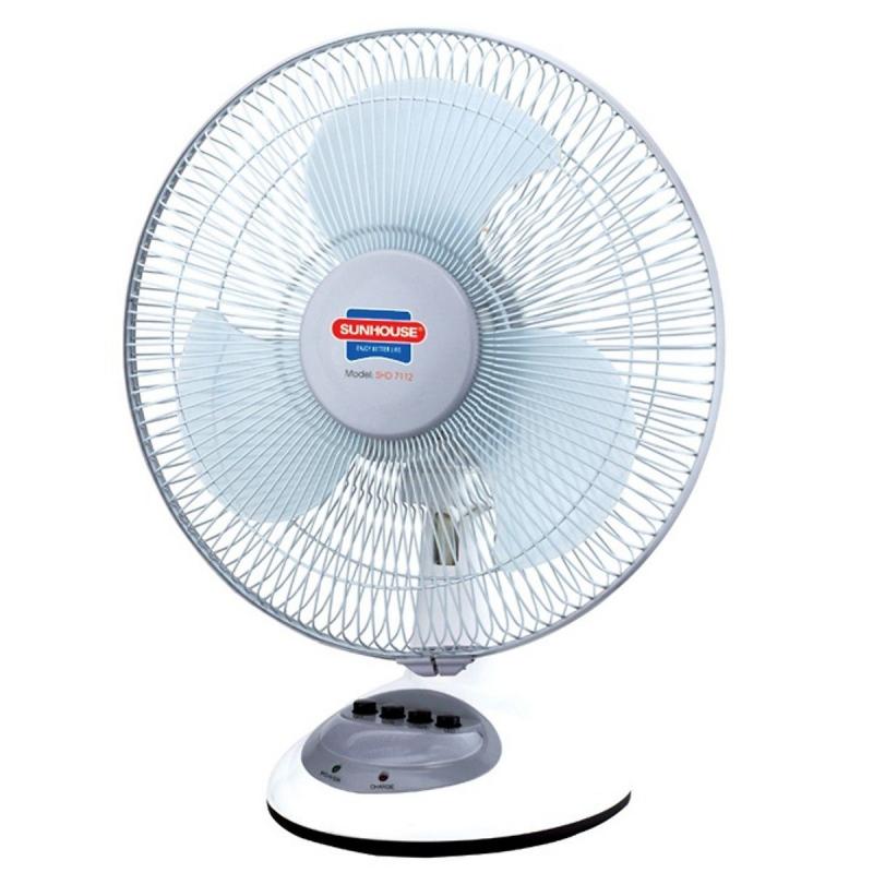 Top 7 Comprehensive Outlines for Descriptive Essays on Fans - Mytour.vn