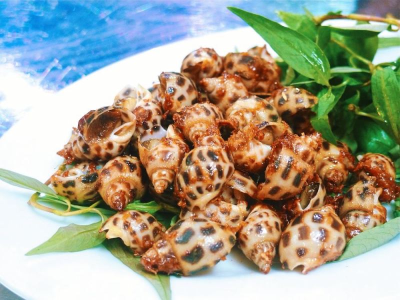 Top 10 Most Delicious Dishes Made from Turban Snails - Mytour.vn