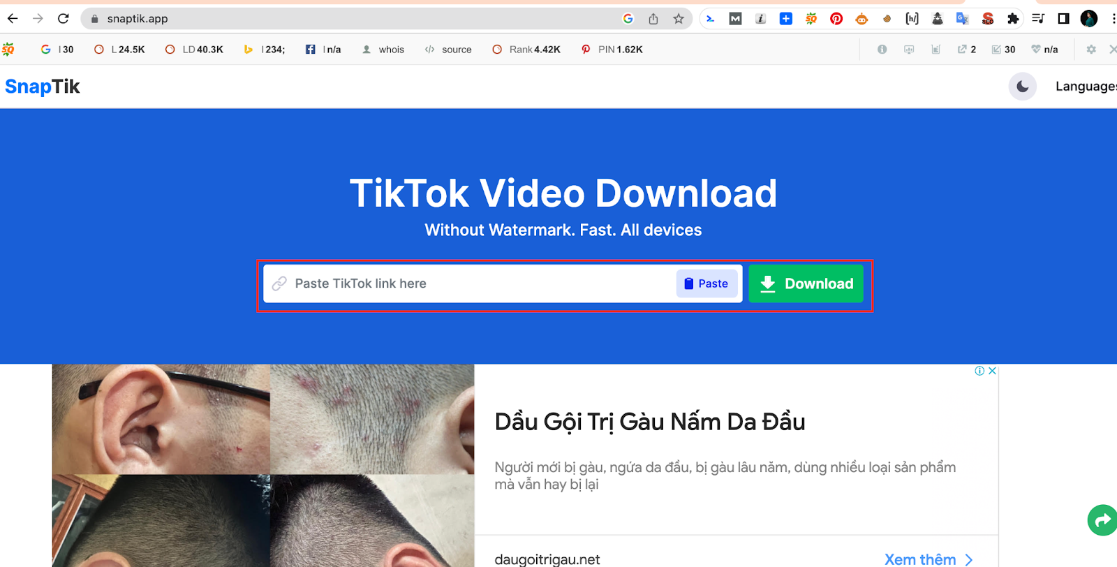 SnapTik - Free TikTok Video Downloader without Logo | Mytour