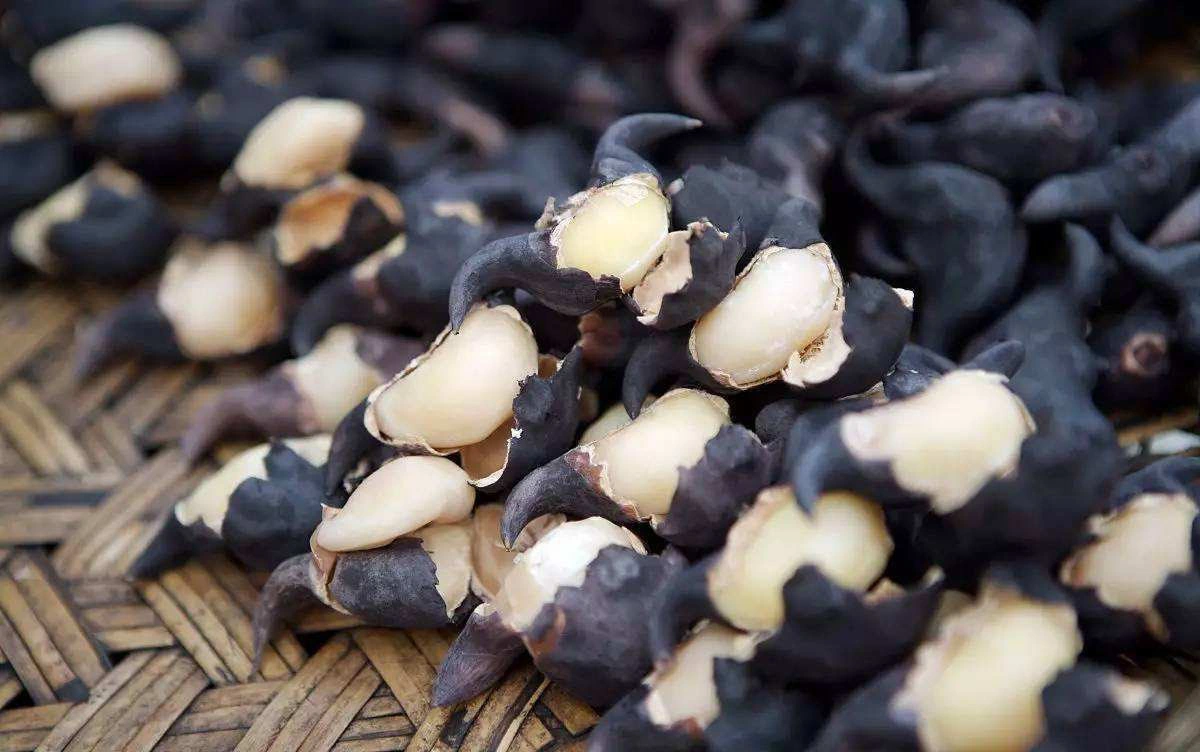 Unlocking the Hidden Benefits of Water Chestnuts for Your Health