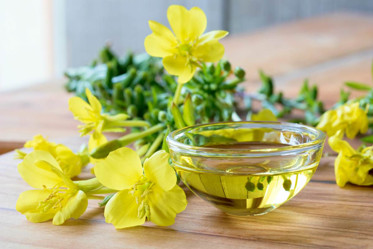 Health and Beauty Benefits of Evening Primrose Oil | Mytour