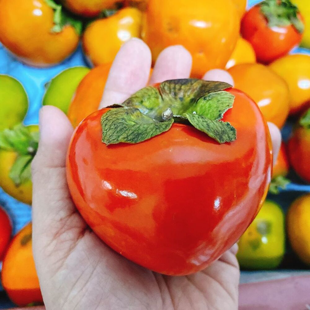 Discover the Top 10+ Delicious and Famous Fruits of Dalat | Mytour