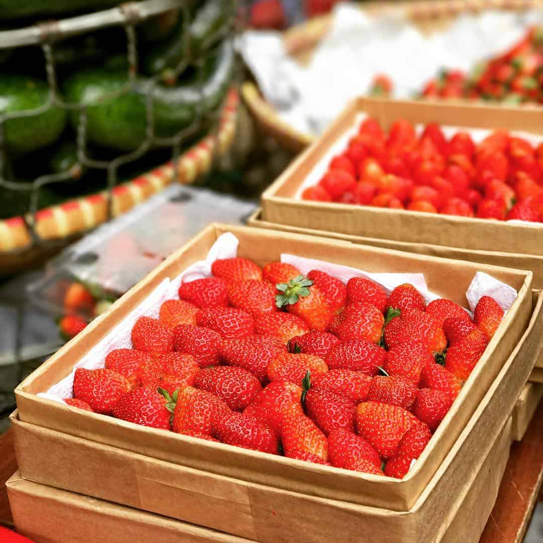 Discover the Top 10+ Delicious and Famous Fruits of Dalat | Mytour