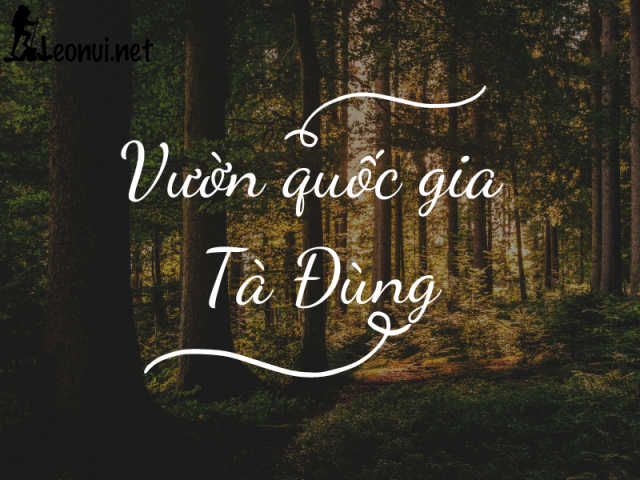 Trekking in Tà Đùng National Park, Đắk Nông - ALONGWALKER