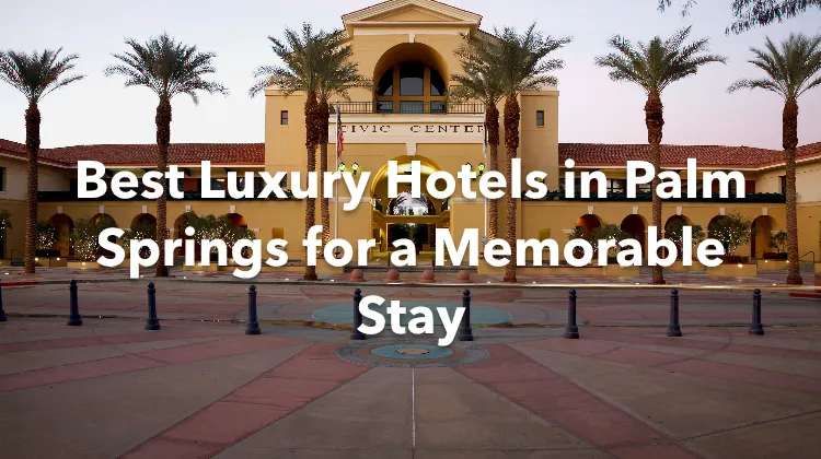 Luxurious Escapes: Unveiling Palm Springs' Finest Hotels | Mytour