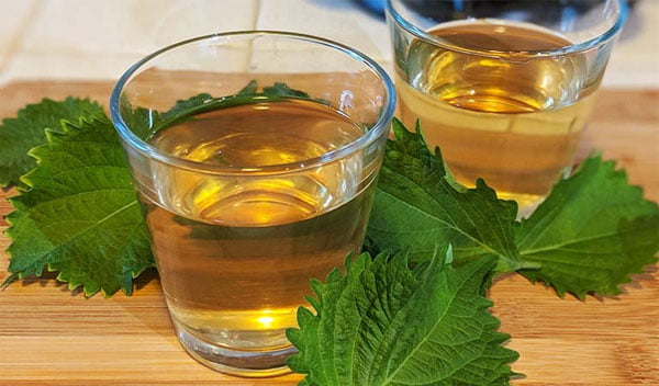 4 Ways to Prepare Tia To Leaf Water for Beautiful Skin – Simple Health ...