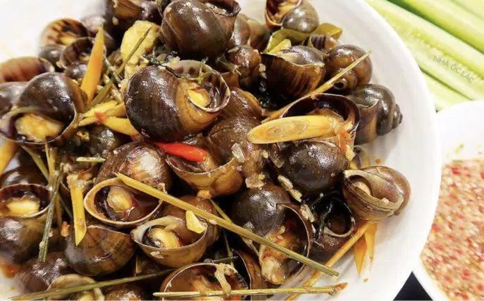 Is it safe for pregnant women to eat snails? What precautions should be ...