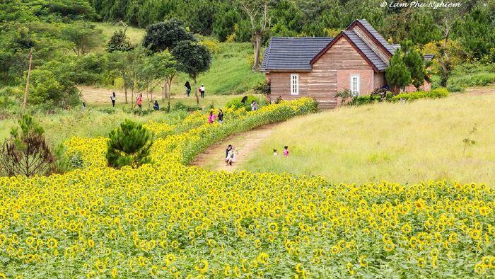 Experience the Top 10 Exquisite Farmstays in Da Lat You Must Try Once