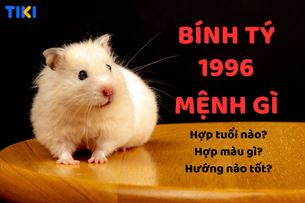 Destiny, Compatibility, and Colors for Binh Ty 1996 | Mytour
