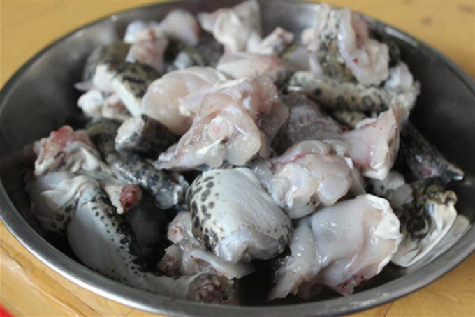 Safely Prepare FROG MEAT at Home - A Comprehensive Guide from A to Z