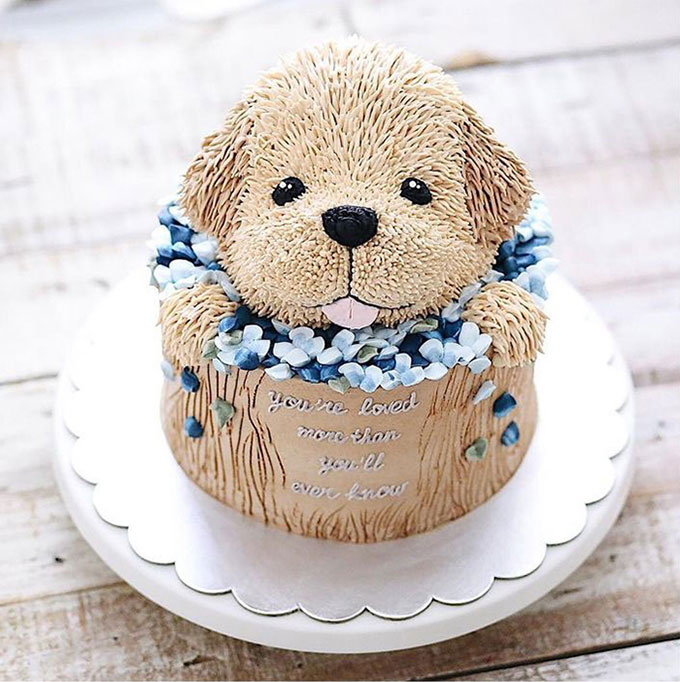 25+ stunning dog-shaped birthday cake designs for those born in the ...