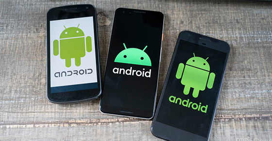Exploring Android Operating System: All You Need to Know - Mytour