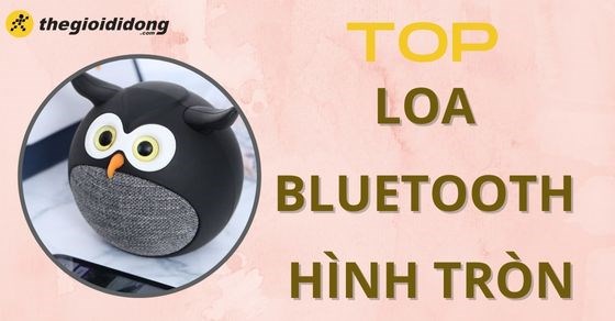 Discover the Top 5 Circular Bluetooth Speakers for Exceptional Music ...