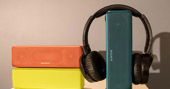 Exploring the Diversity of Sony Accessories: Are They Worth it? - Mytour