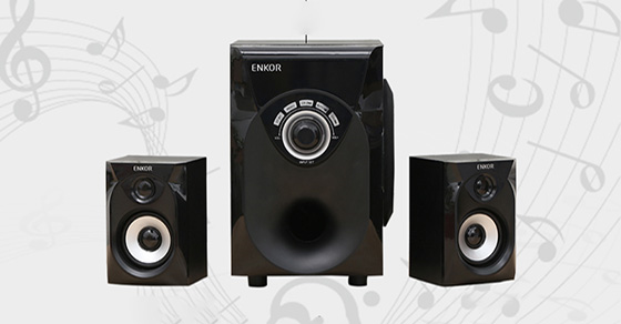 Enkor Speakers: Unveiling Their Country of Origin and Performance ...