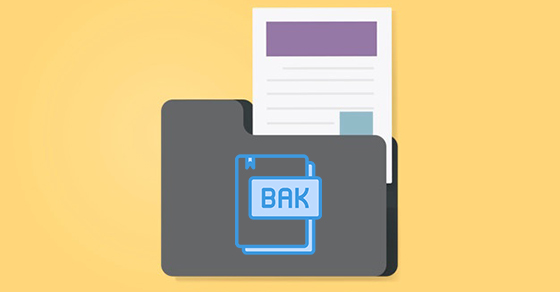 Understanding BAK Files: How to Open and Convert .bak to .dwg Format ...