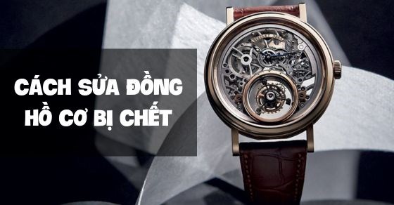 Reviving a Dead Mechanical Watch with Just a Few Simple Steps - Mytour
