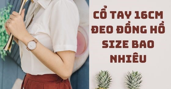 What Size Watch Fits a 16cm Wrist? Top 10+ Watches for 16cm Size