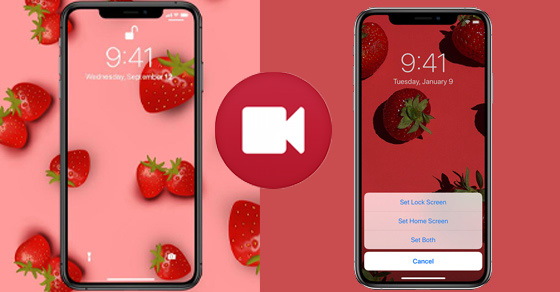 Unlock 3 Super Easy Ways to Set Videos as iPhone Wallpapers - Mytour