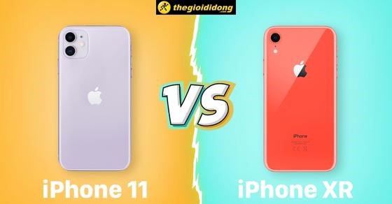 iPhone 11 vs. iPhone XR: A Detailed Specs Showdown - TheTechZone.com
