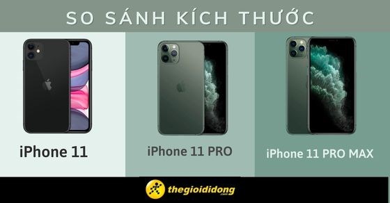 Comparing Sizes: iPhone 11, 11 Pro, 11 Pro Max - Mytour